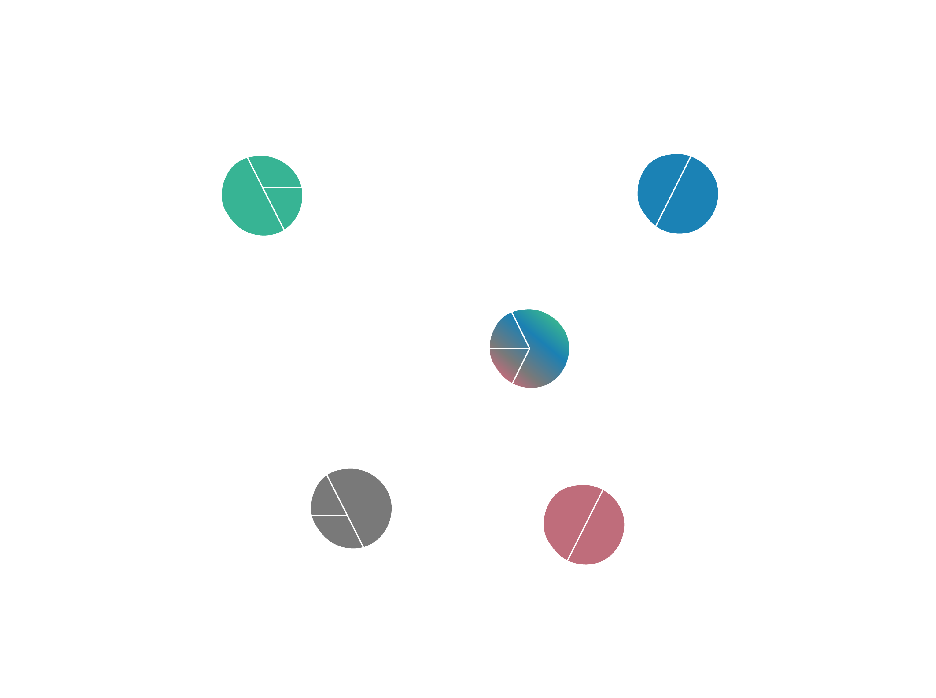 Vital Psychedelic Training